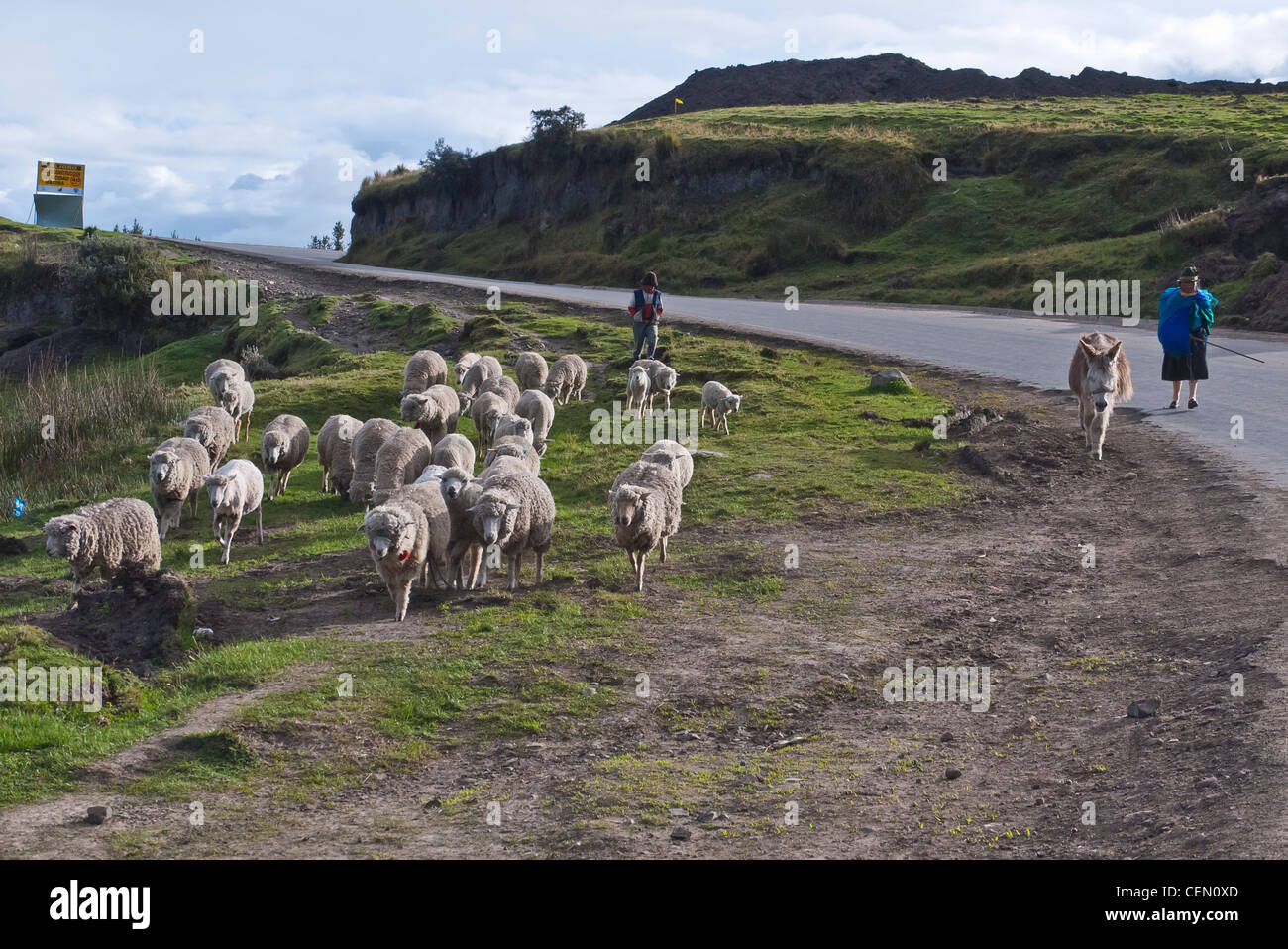 Sheepherder hi-res stock photography and images - Alamy