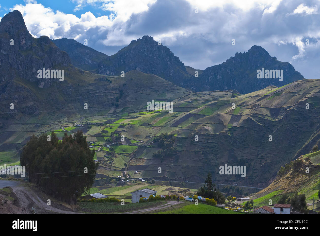 A mountain view of patchwork fields of green in the high Andes ...