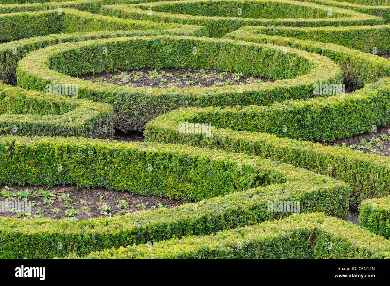 Geometric planting border hi-res stock photography and images - Alamy