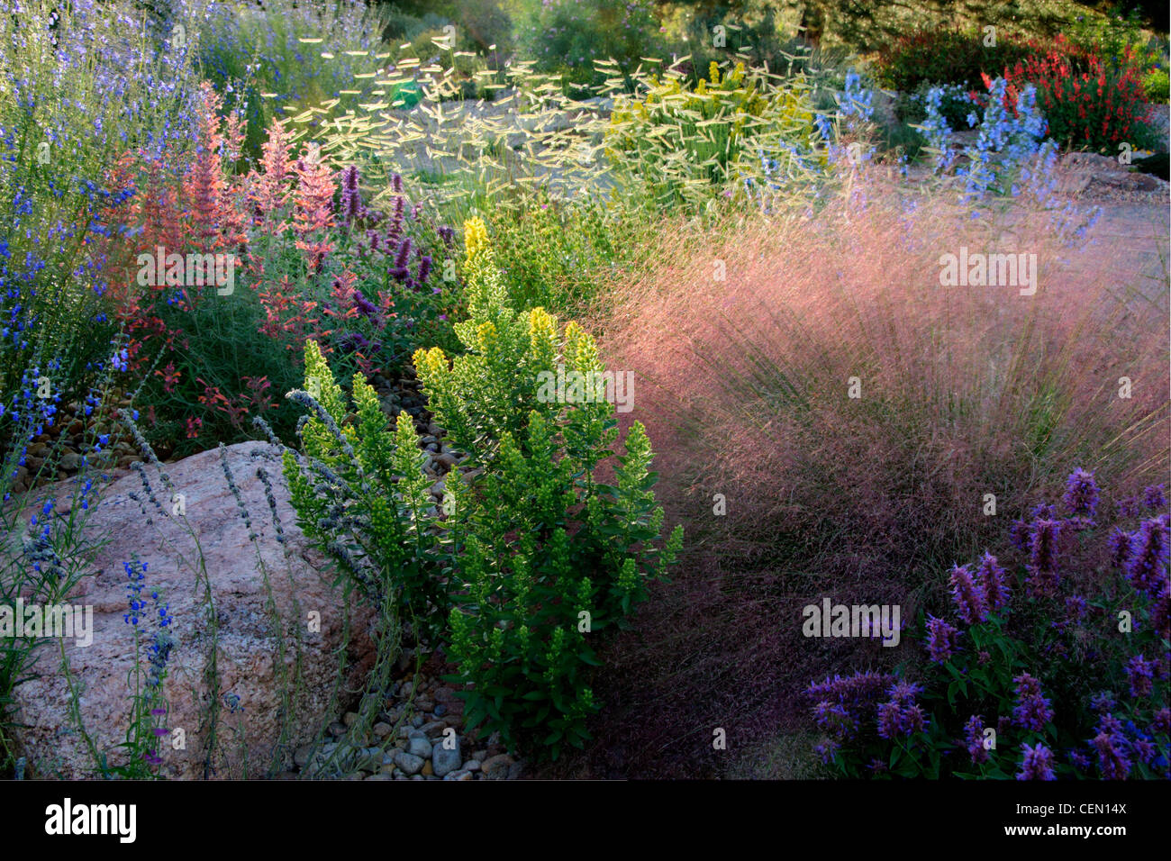 Perennials bed summer hi-res stock photography and images - Alamy