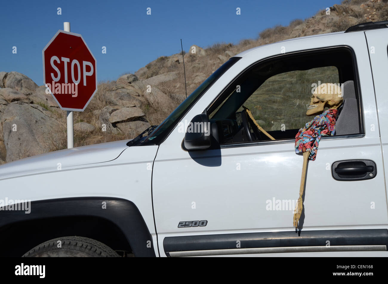 A skeleton at the wheel of a automobile stopped at a remote Stop Sign ...