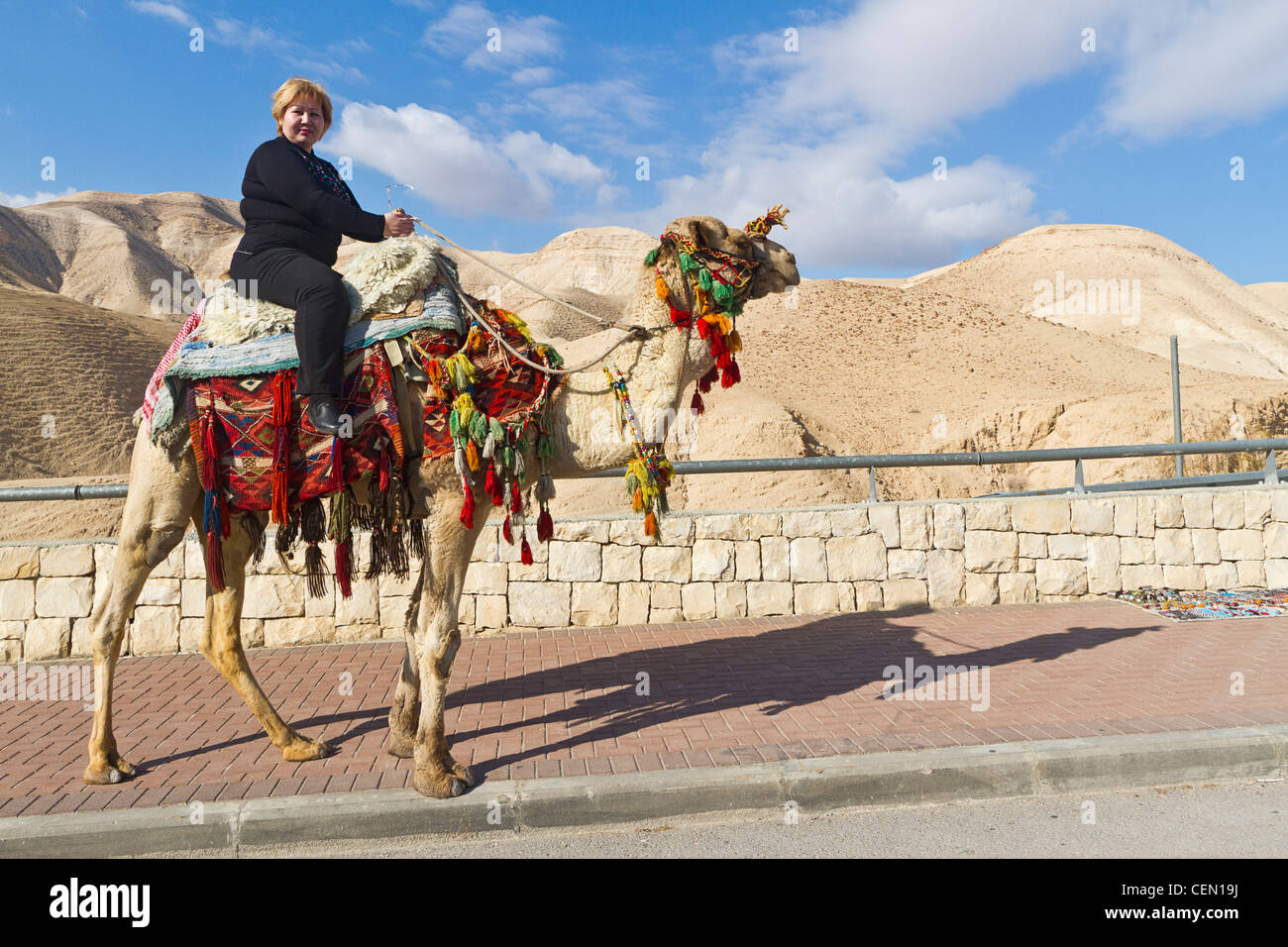 Tourist rides a camel at the "Sea Level" marker on Highway 1, the road ...