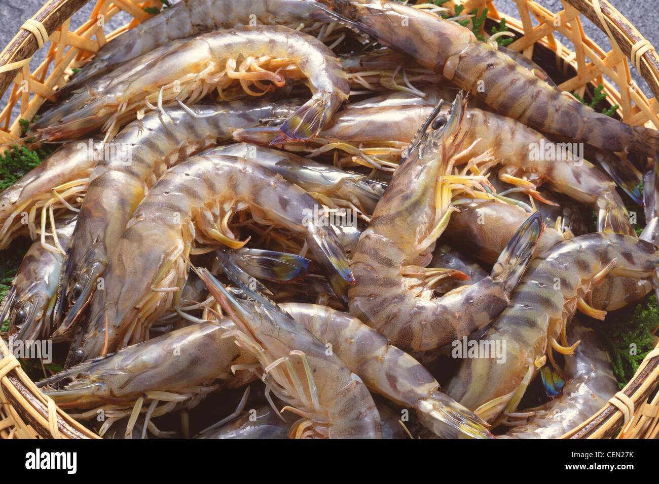 Dead shrimp hi-res stock photography and images - Alamy