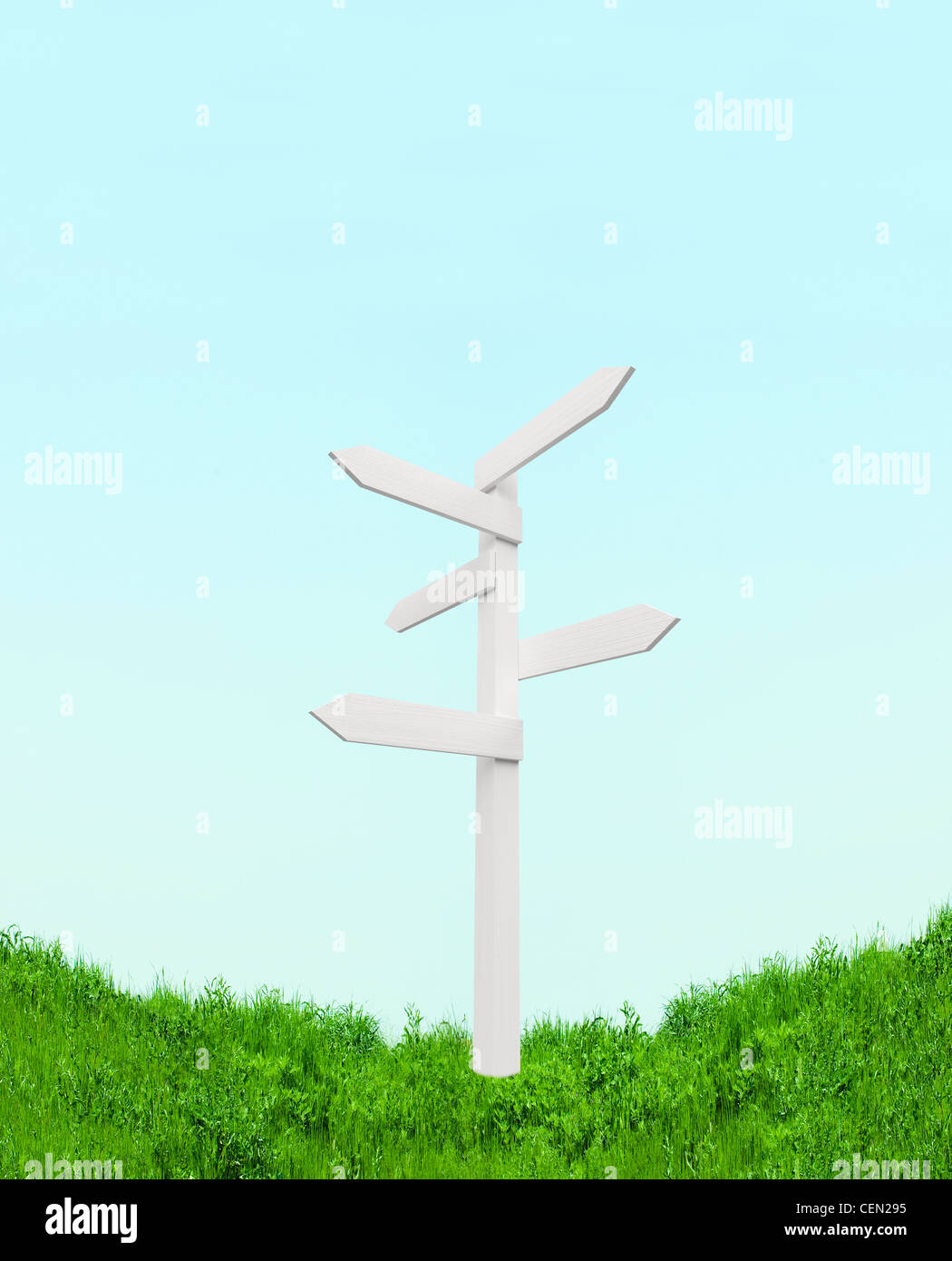 Multi-directional blank sign post, Digital composite Stock Photo - Alamy