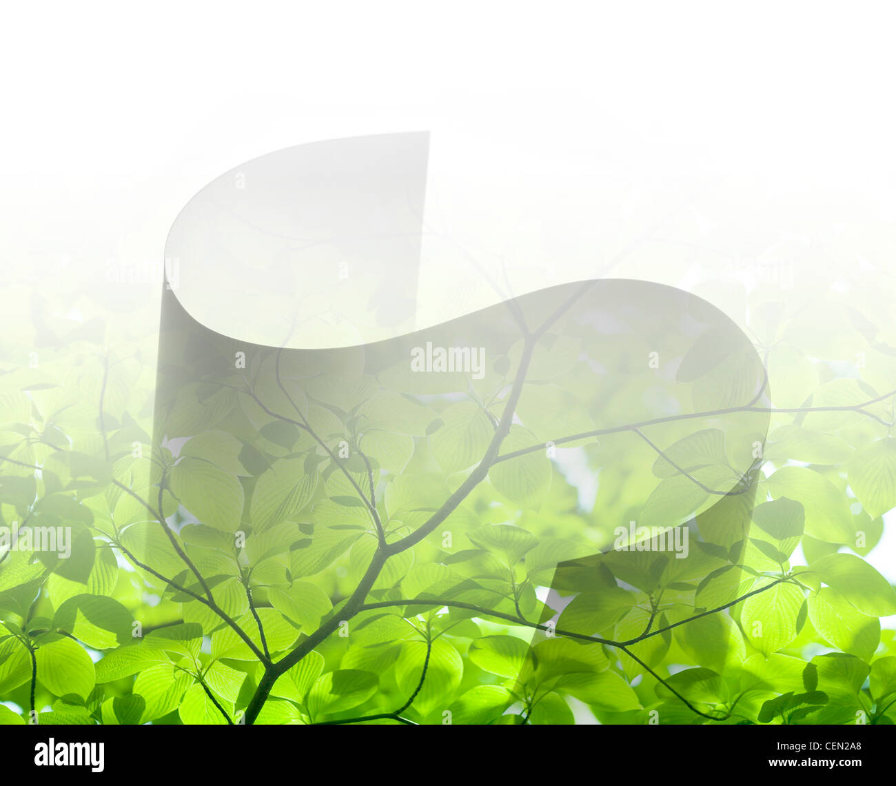 Paper and tree, Digital Composite Stock Photo - Alamy