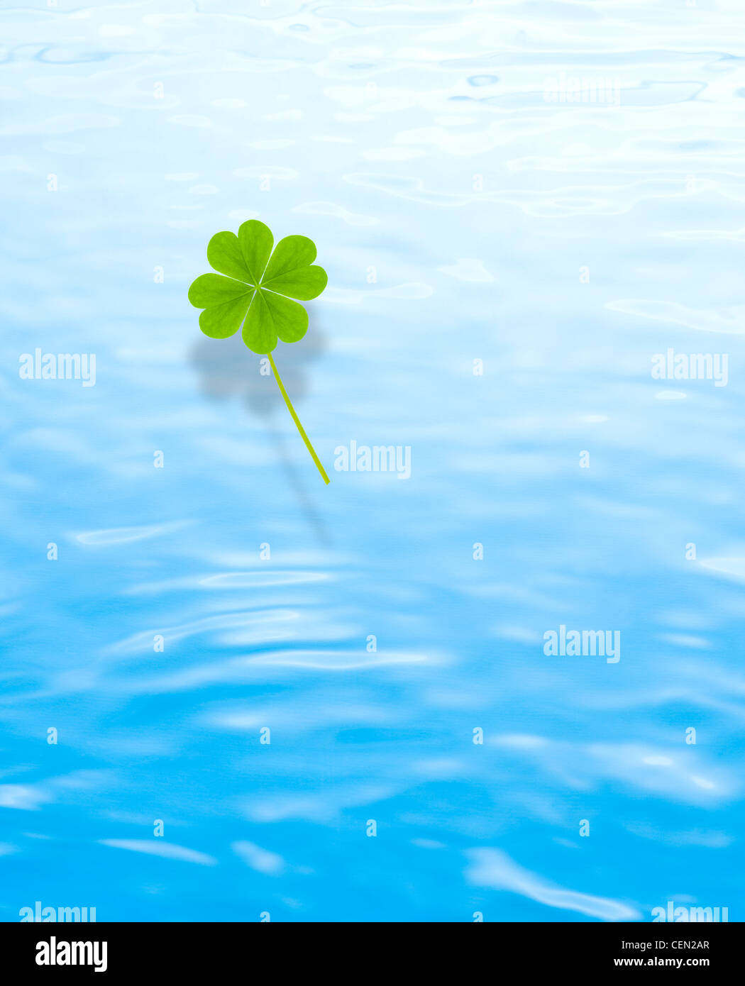 Clover and water Stock Photo - Alamy
