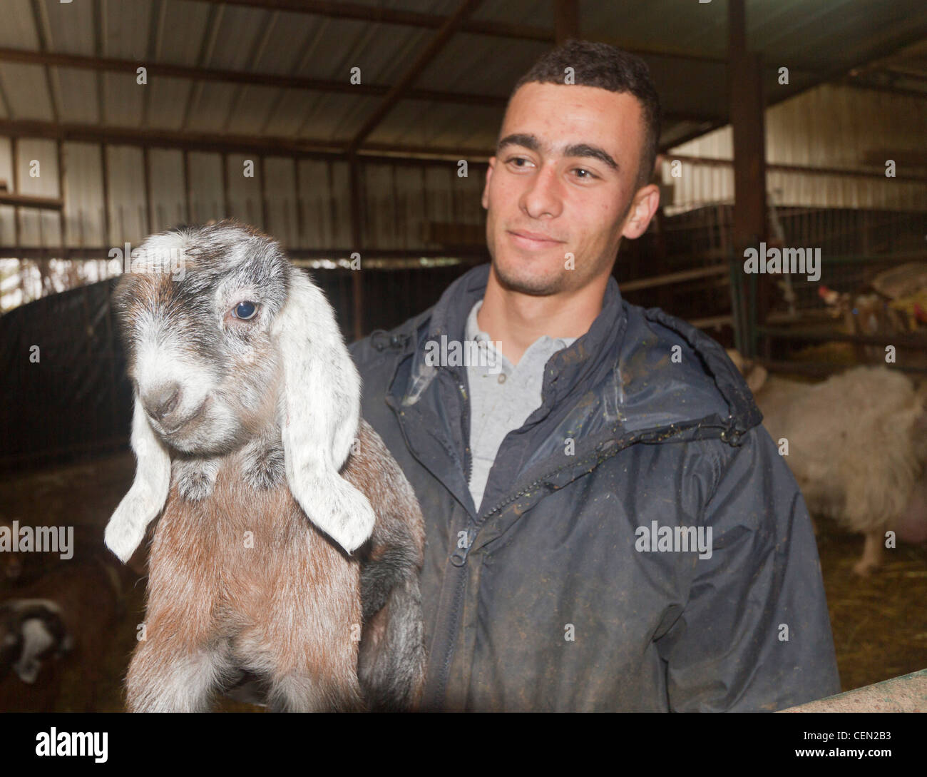 Farmer shows off baby goat at Israeli farm Stock Photo - Alamy