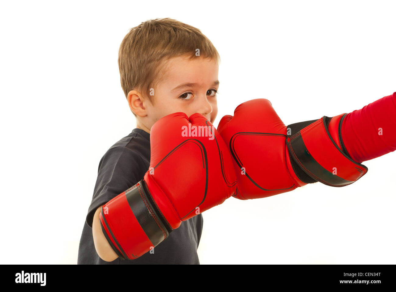 Little boxer boy fighting and looking to camera isolated on white ...