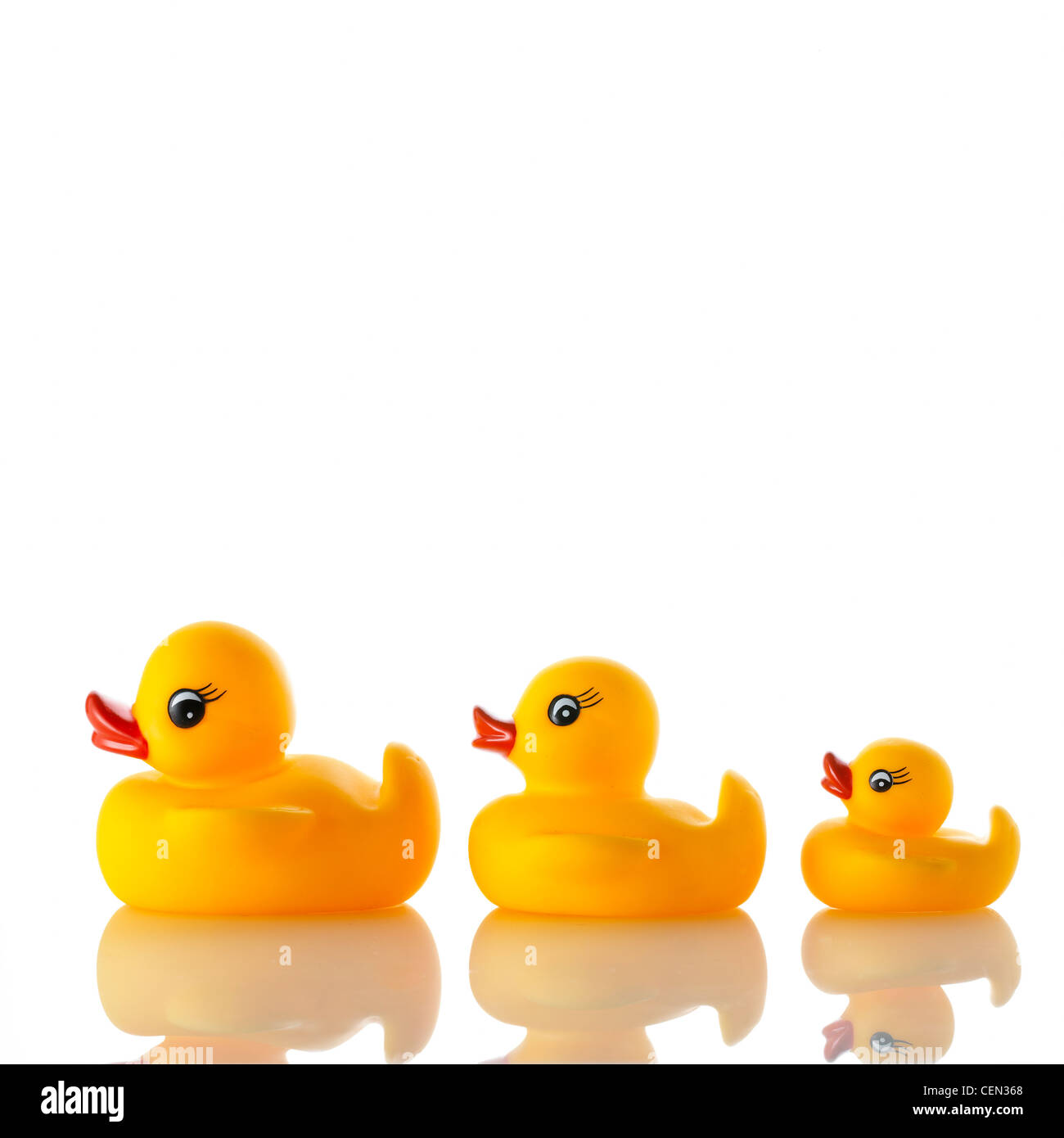 Rubber Ducks In A Row