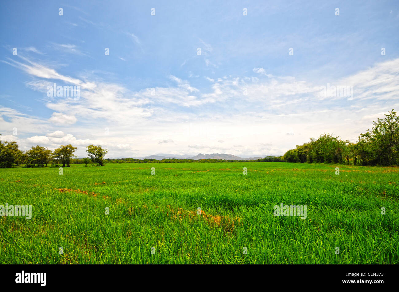 White background hdr hi-res stock photography and images - Alamy