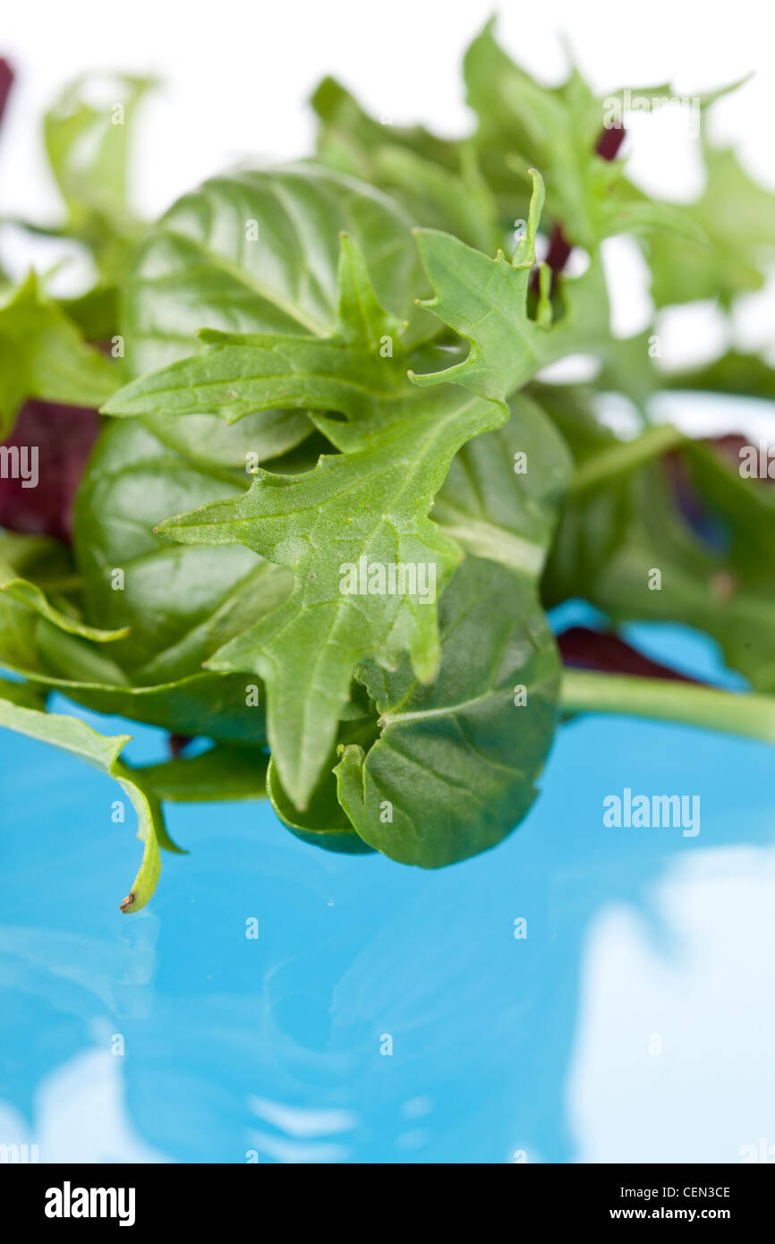Roquette leaves hi-res stock photography and images - Alamy