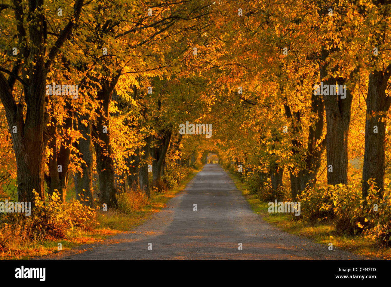Tuchlin hi-res stock photography and images - Alamy