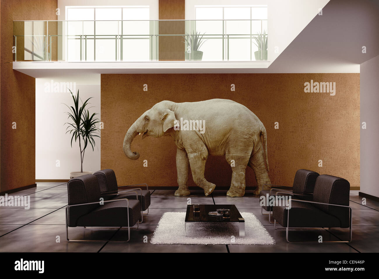 elephant inside interior Stock Photo - Alamy
