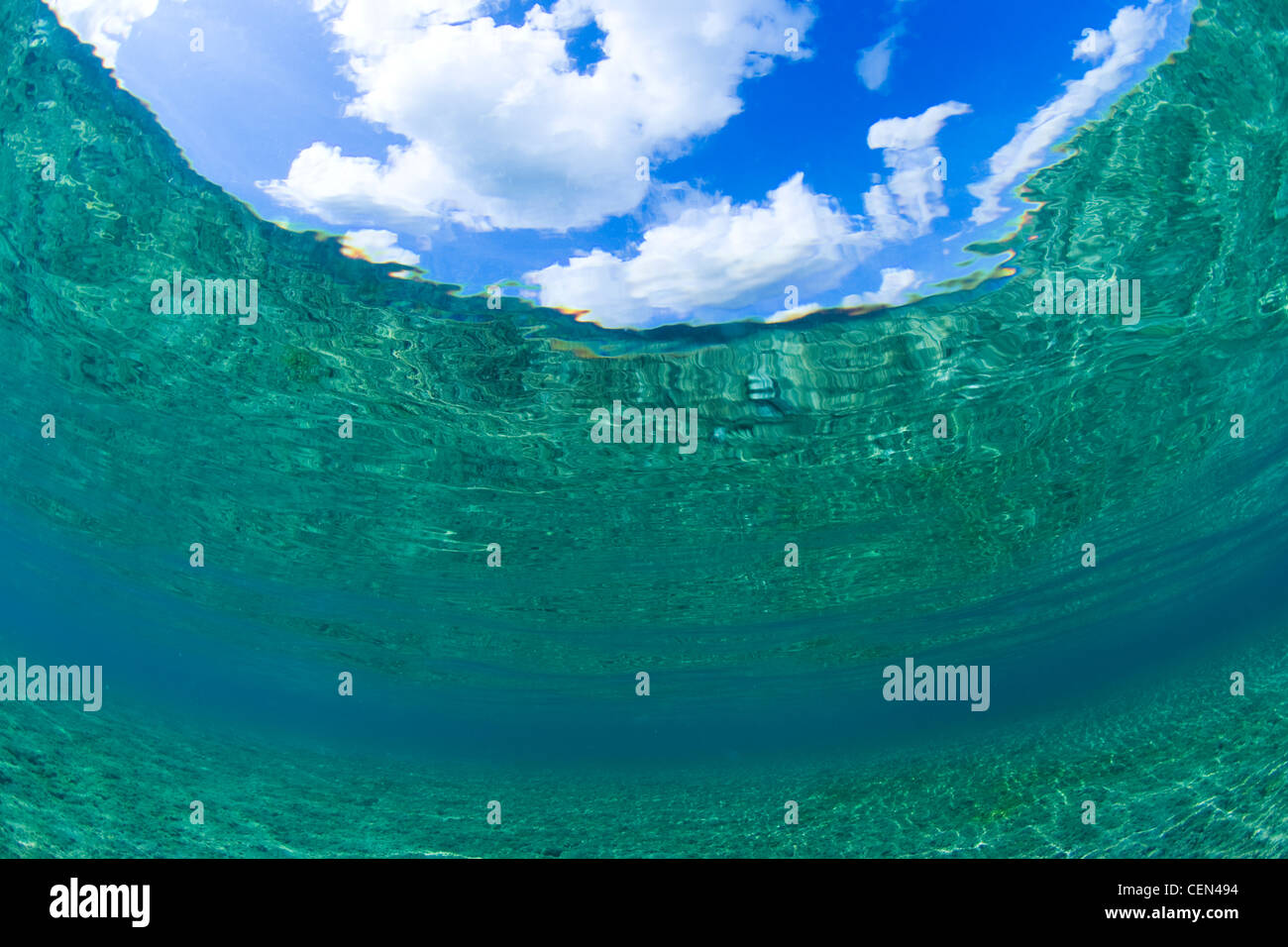 Underwater landscape not fish hi-res stock photography and images - Alamy