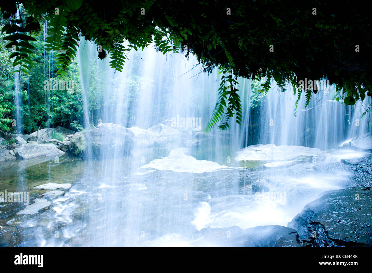 Waterfall water wildlife hi-res stock photography and images - Alamy