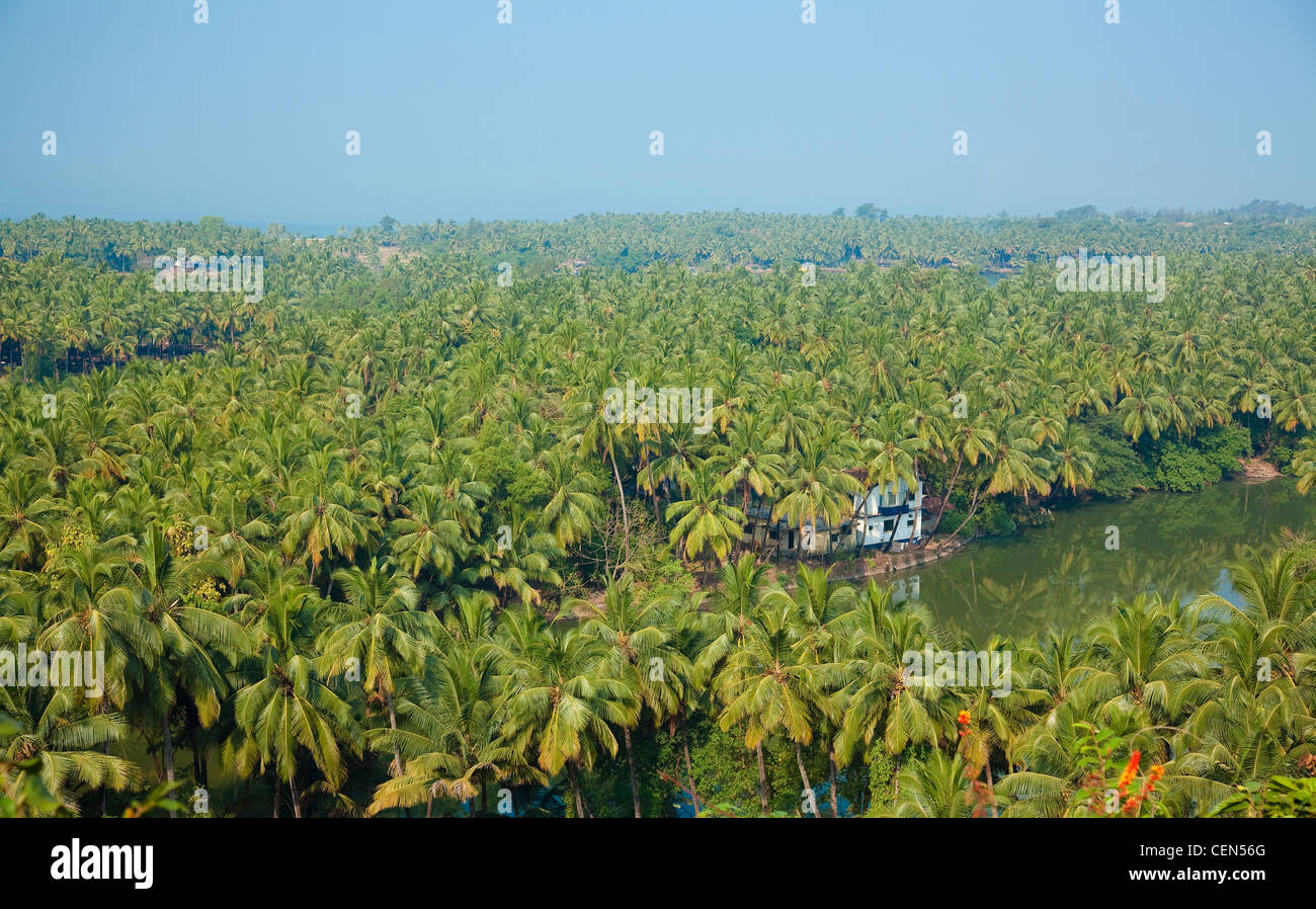 Indian Jungle High Resolution Stock Photography and Images - Alamy