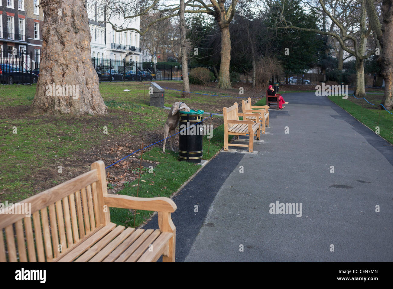 Buried litter hi-res stock photography and images - Alamy