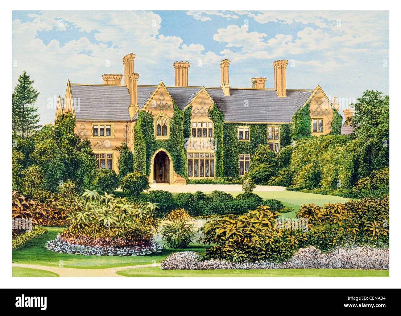 Garden screen uk garden Cut Out Stock Images & Pictures - Alamy