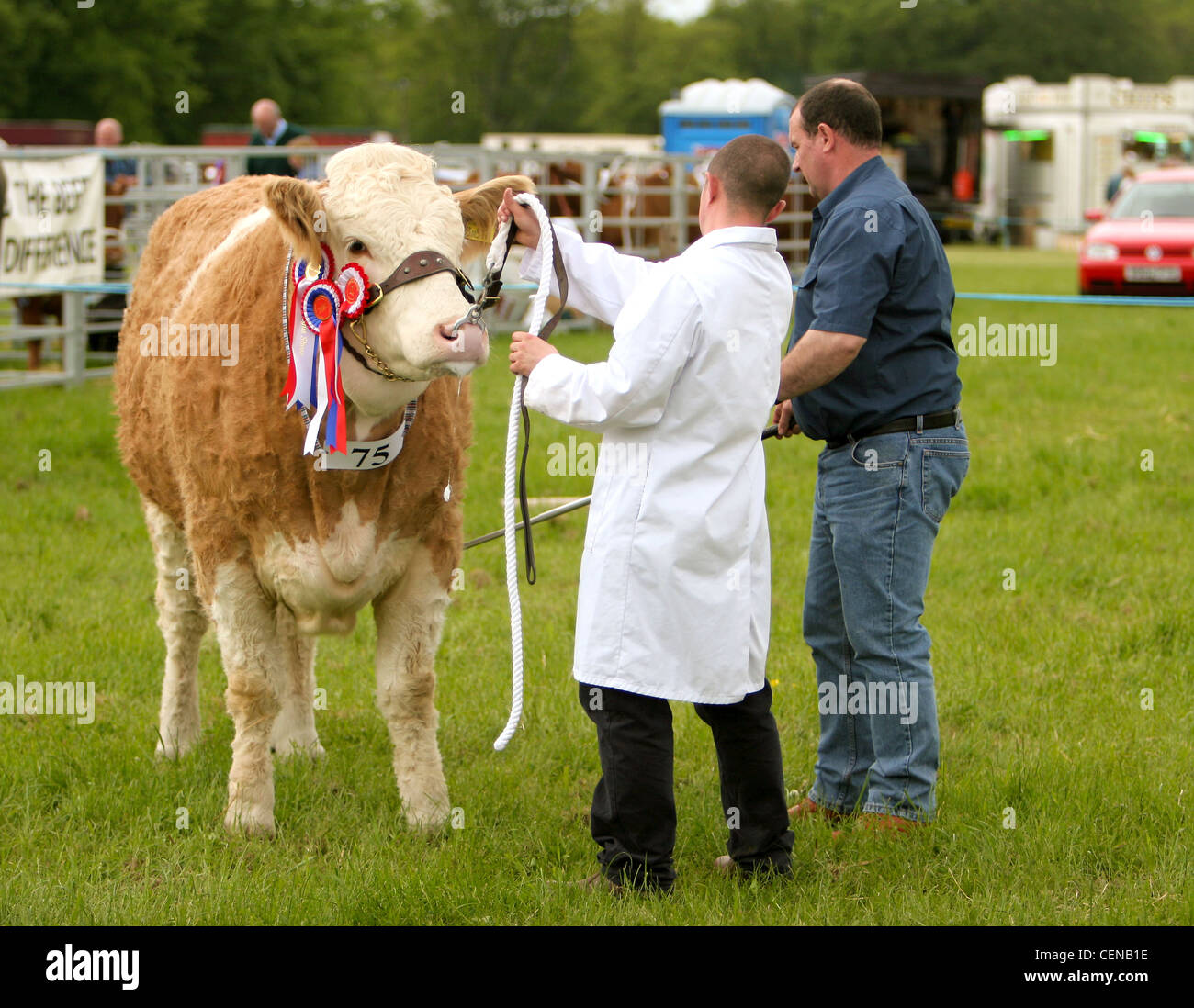 Showrings hi-res stock photography and images - Alamy