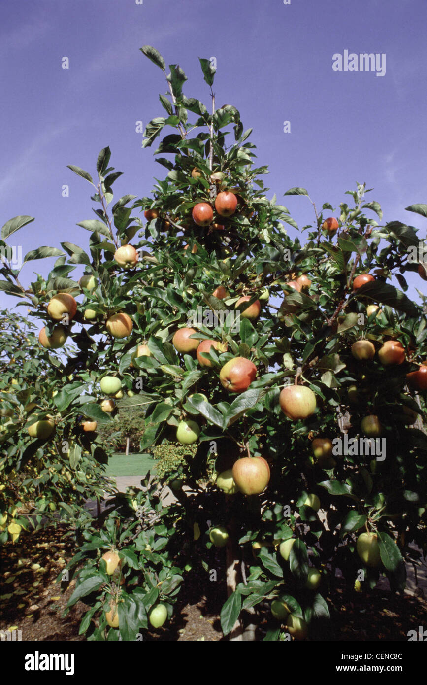 723 01 hi-res stock photography and images - Alamy