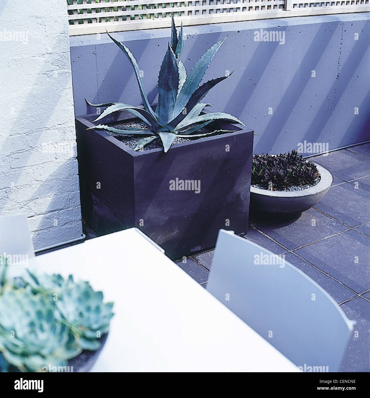 Downsized designs Dont think big a small garden landscape designer Hugh ...