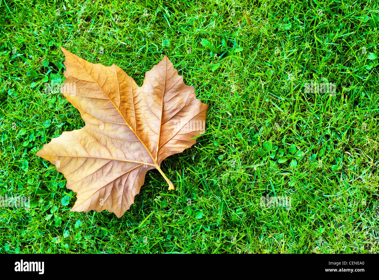 Different seasons and all things related to them Stock Photo - Alamy