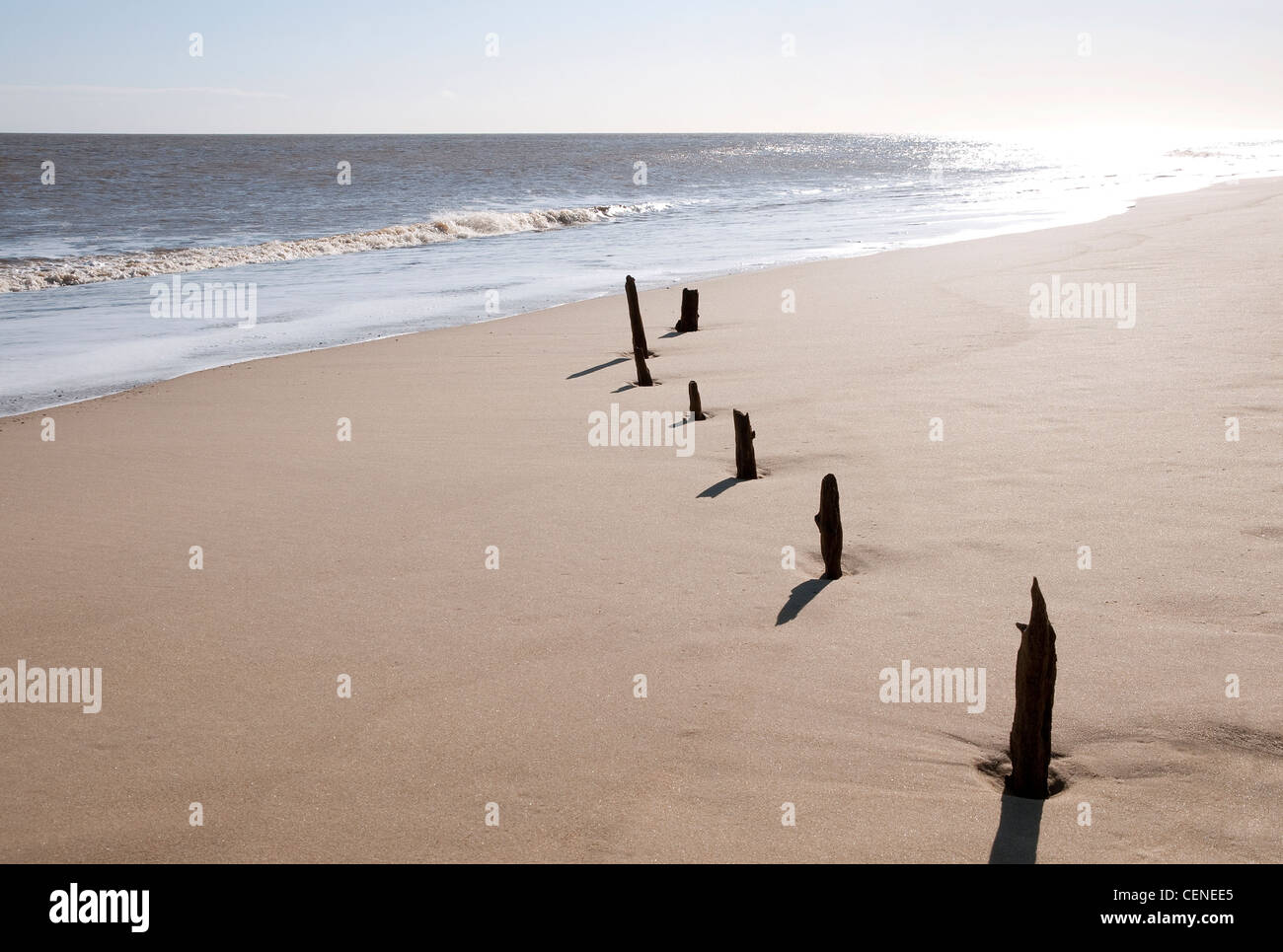 Minsmere nature reserve hi-res stock photography and images - Alamy