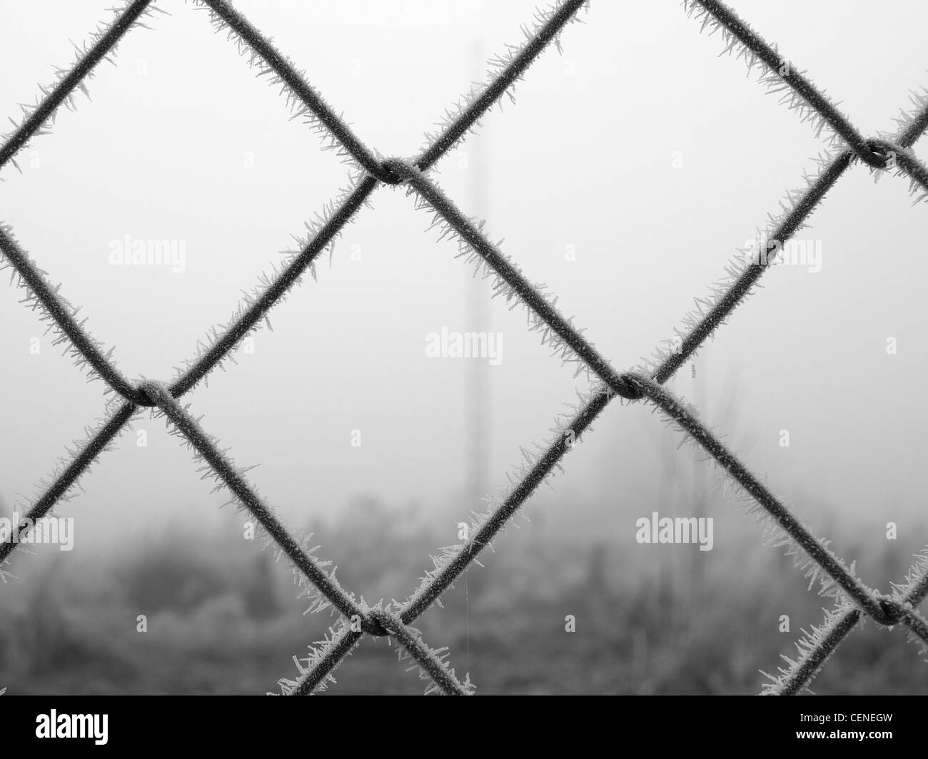 View behind a frosty wire fence Stock Photo - Alamy
