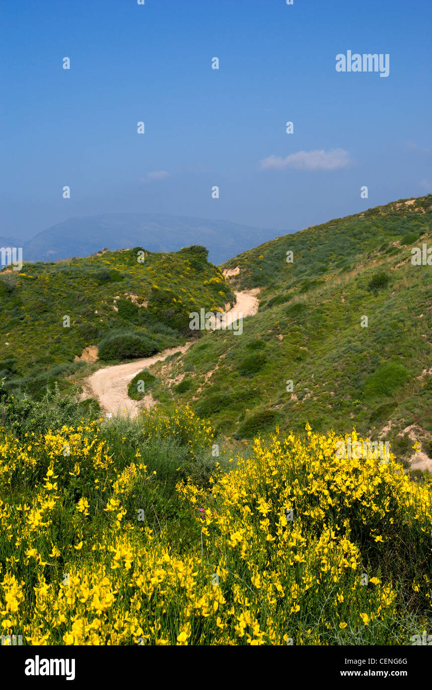 spring scenery hills above kalamaki zante/zakynthos ionian islands ...