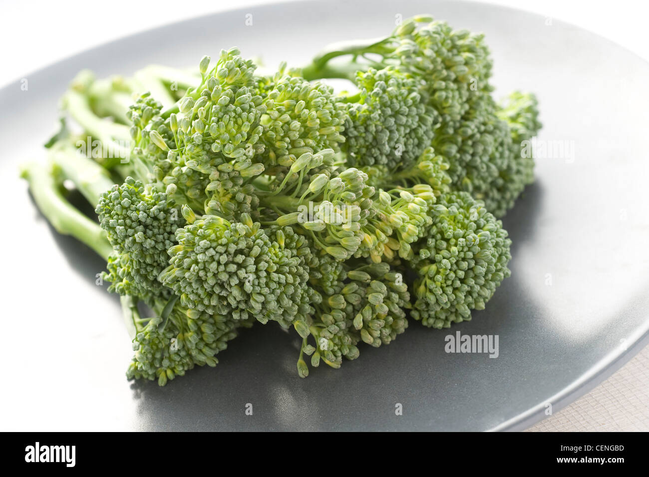 A still life image of broccoli stalks on grey plate Stock Photo - Alamy