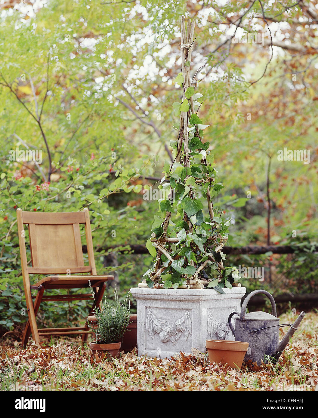 Trellis with ivy in stone pot in garden Stock Photo - Alamy