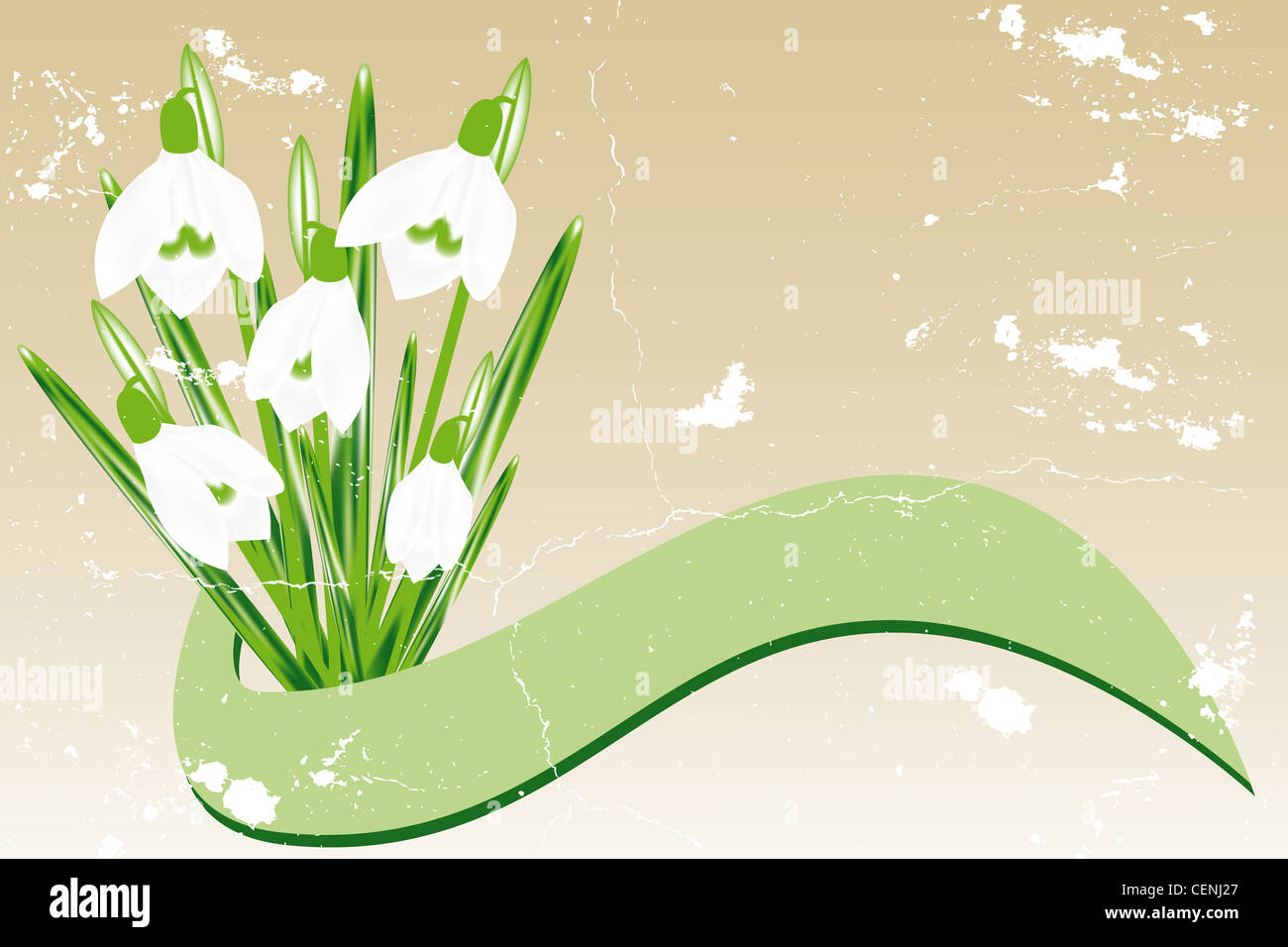 Hand-drawn Snowdrops and vintage banner with room for text Stock Photo ...