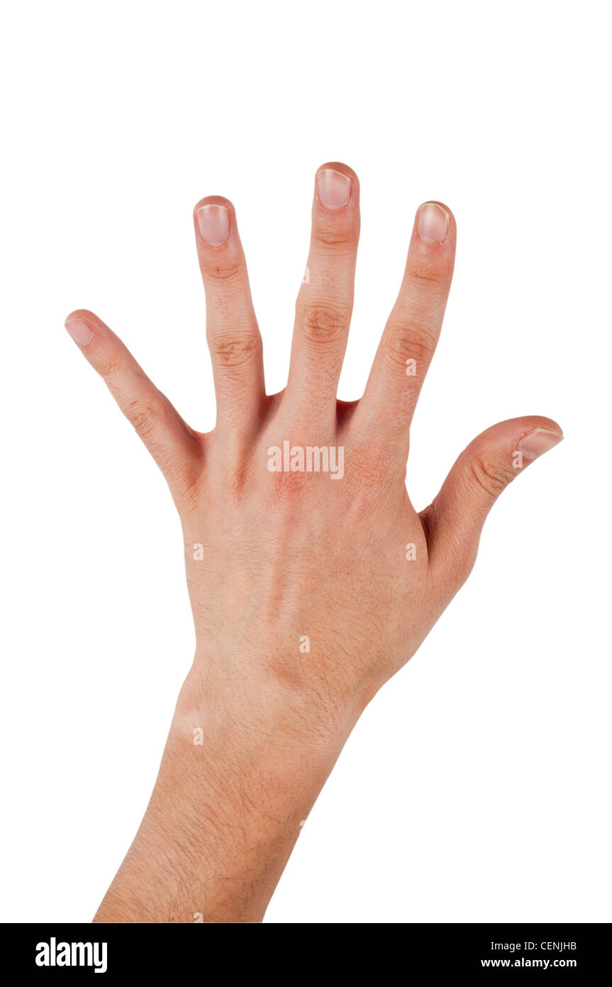 Open Hand Showing Five Fingers – Human Gesture Isolated on White Stock ...