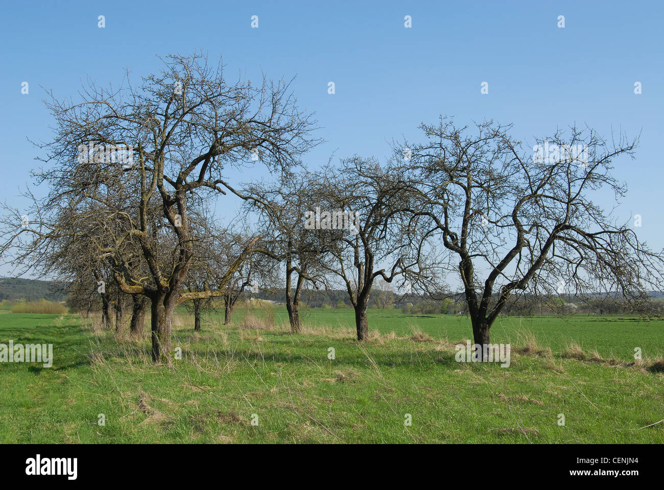 Idyllic field hi-res stock photography and images - Alamy