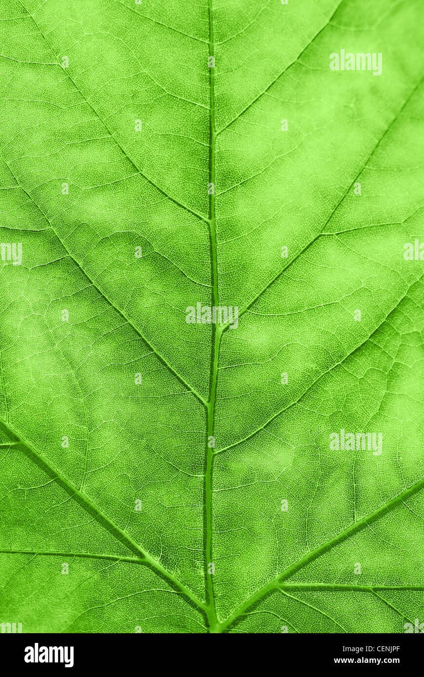 Green color paint hi-res stock photography and images - Alamy