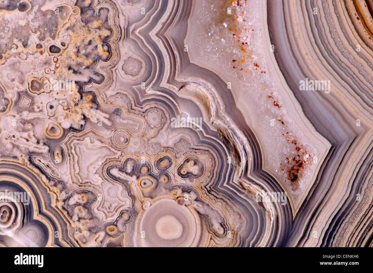 Orbicular jasper mineral stone hi-res stock photography and images - Alamy