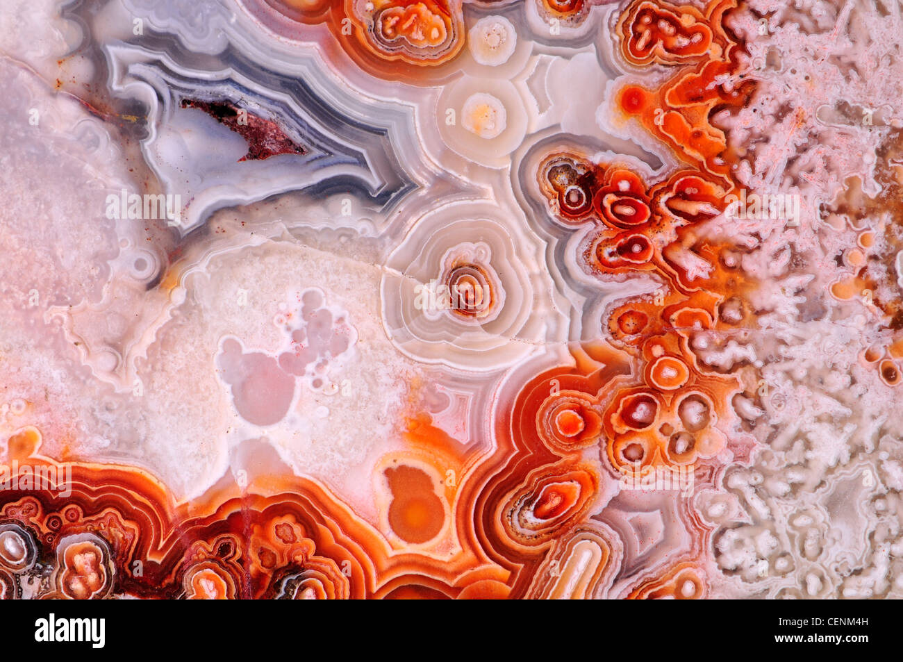 Orbicular jasper mineral stone hi-res stock photography and images - Alamy
