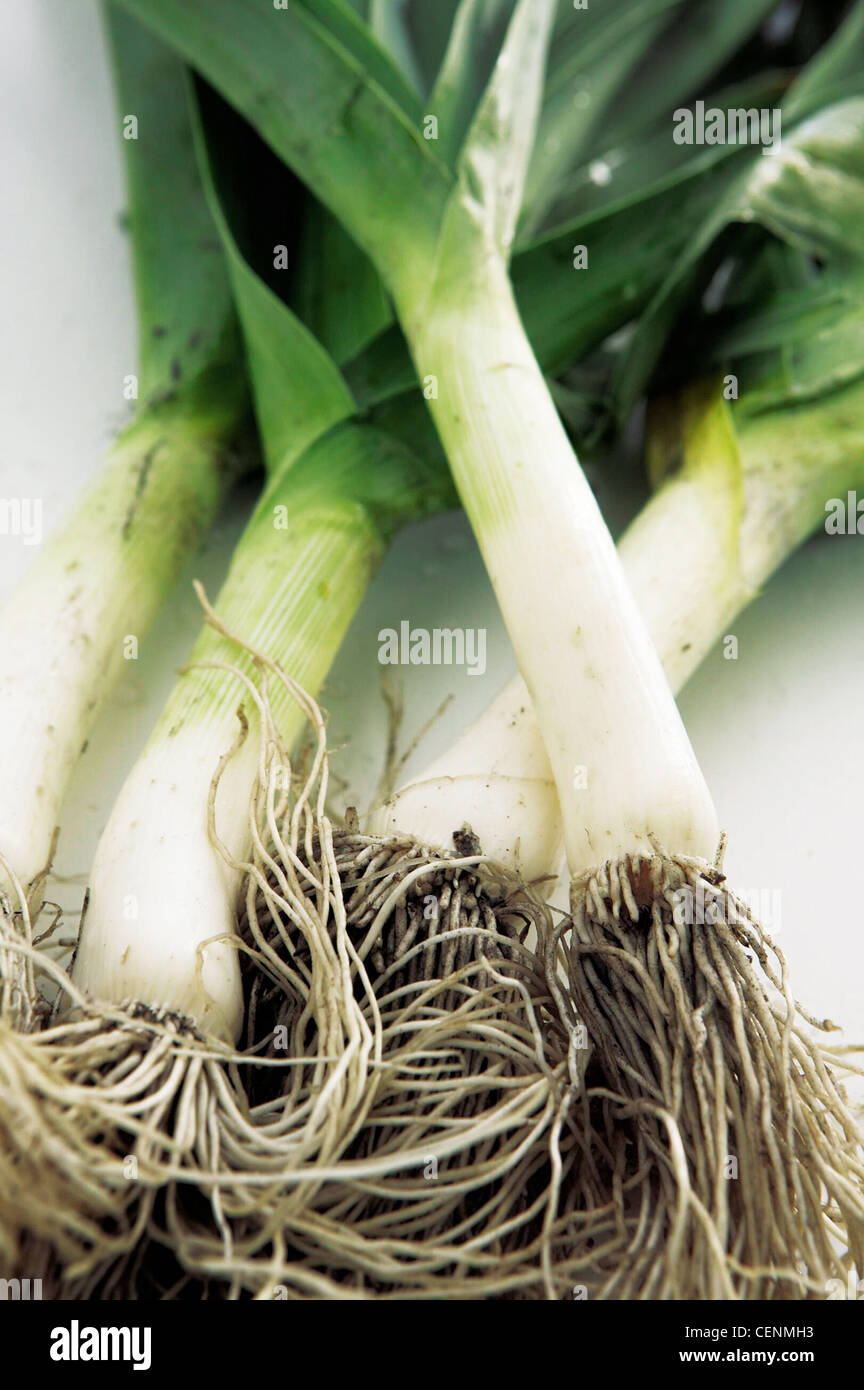 Home grown Close up of four fresh leeks with their roots attached Home ...