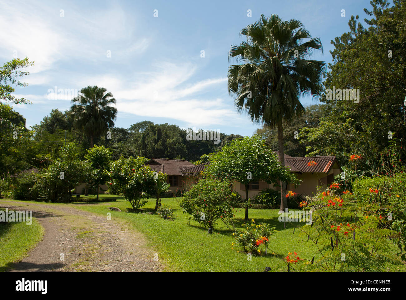 Costa rica gardens hi-res stock photography and images - Alamy