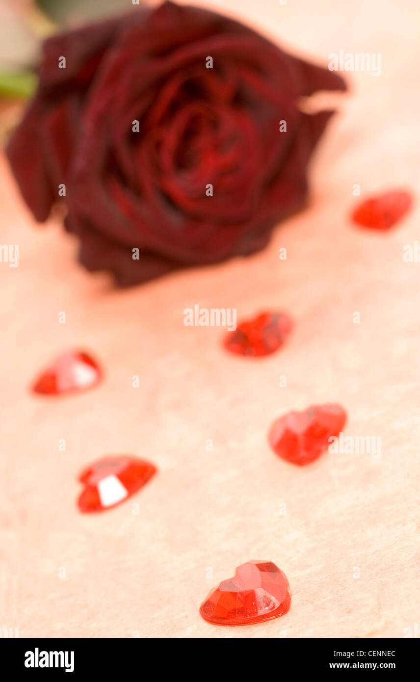 Blurred image of a red rose laid on its side with red plastic hearts ...