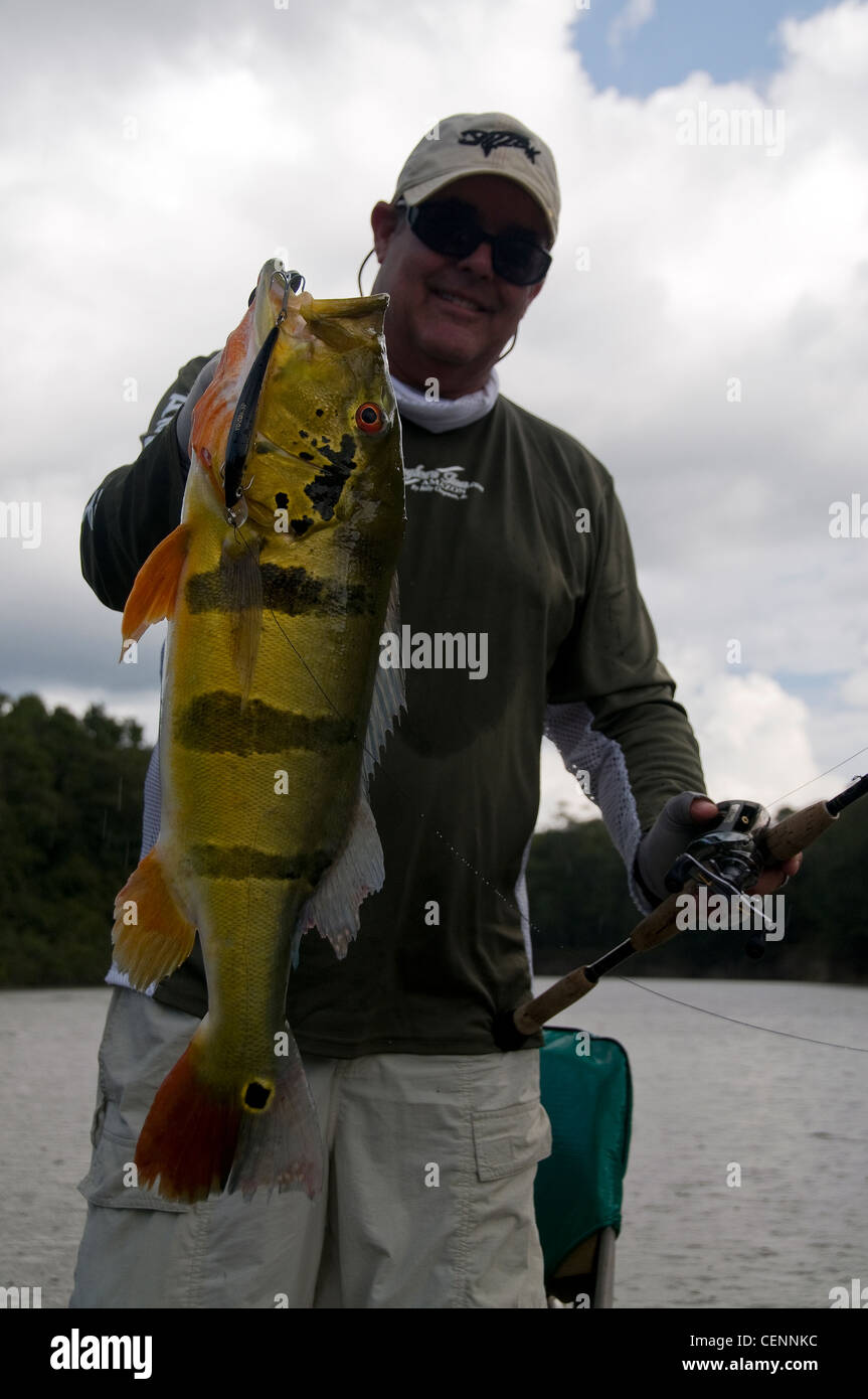 An angler admires a giant peacock bass caught on a Yozuri minnow plug ...