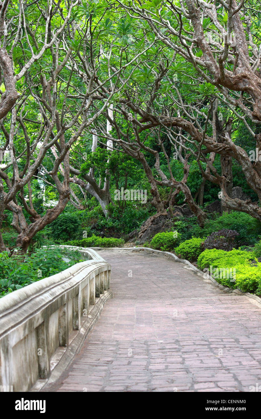 Pathway with trees Stock Photo - Alamy