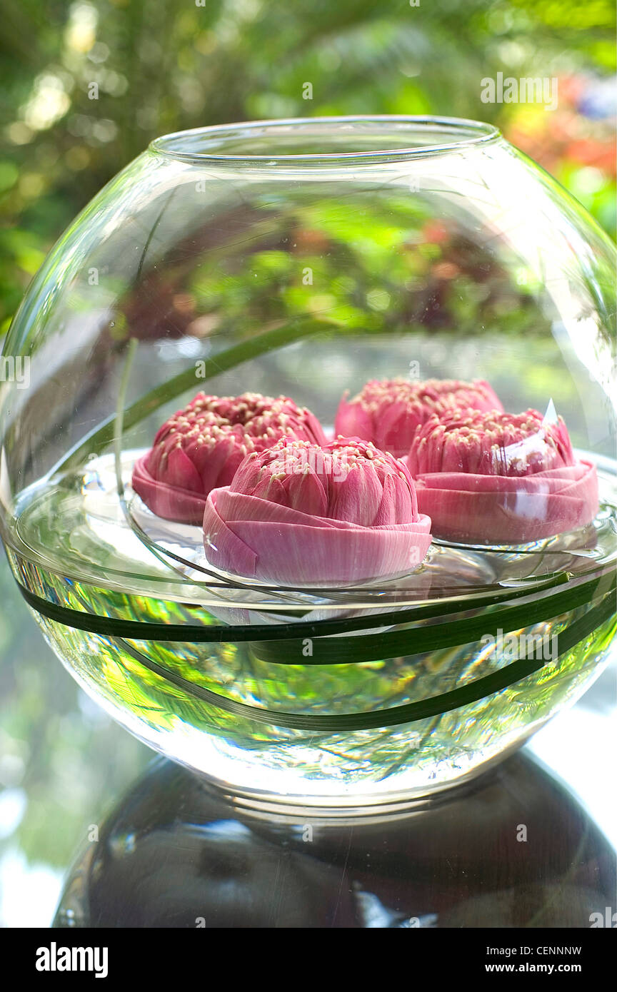 Four pink flowers floating in water in a glass fishbowl Stock Photo - Alamy