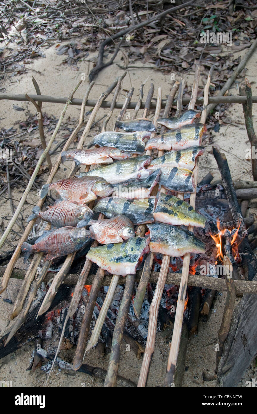 Grilled piranha hi-res stock photography and images - Alamy