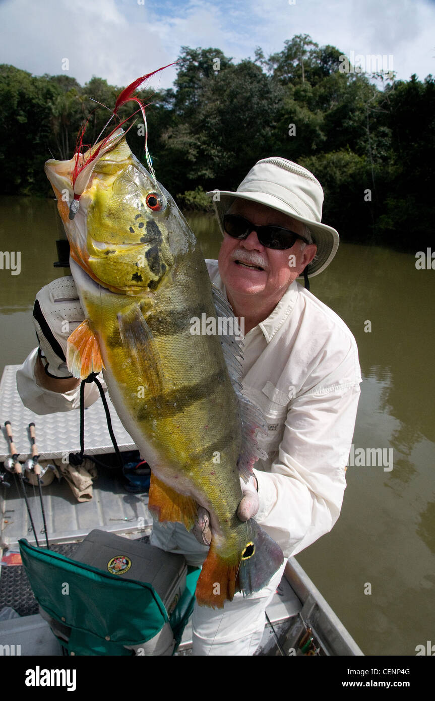 An angler admires a giant peacock bass caught on a jig from a lagoon in ...