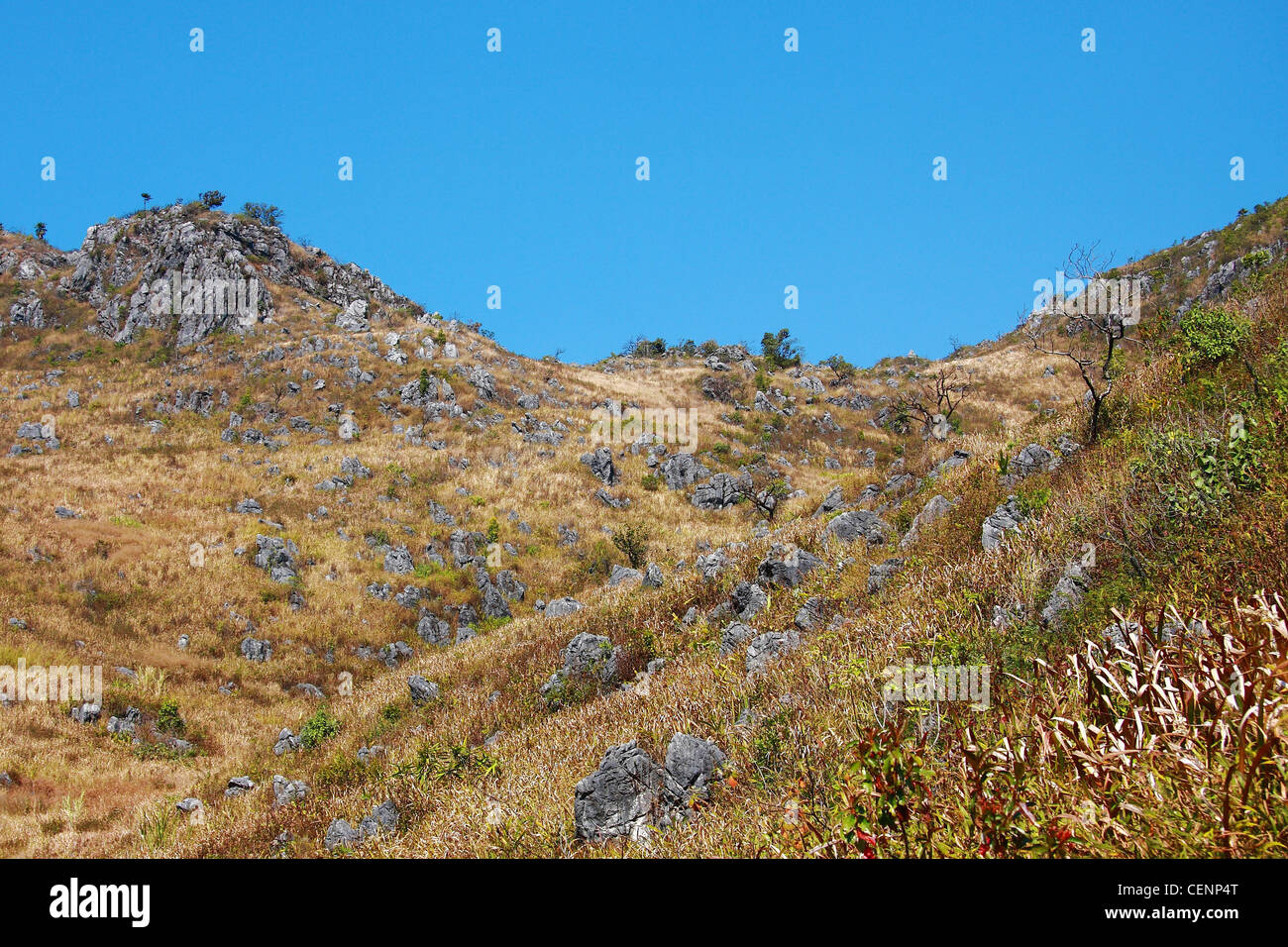 Dao valley hi-res stock photography and images - Alamy