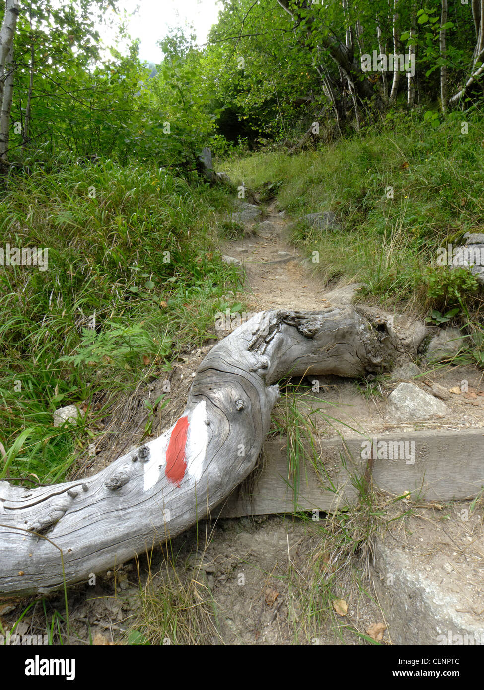 A waymarker on a Swiss mountain path Stock Photo - Alamy