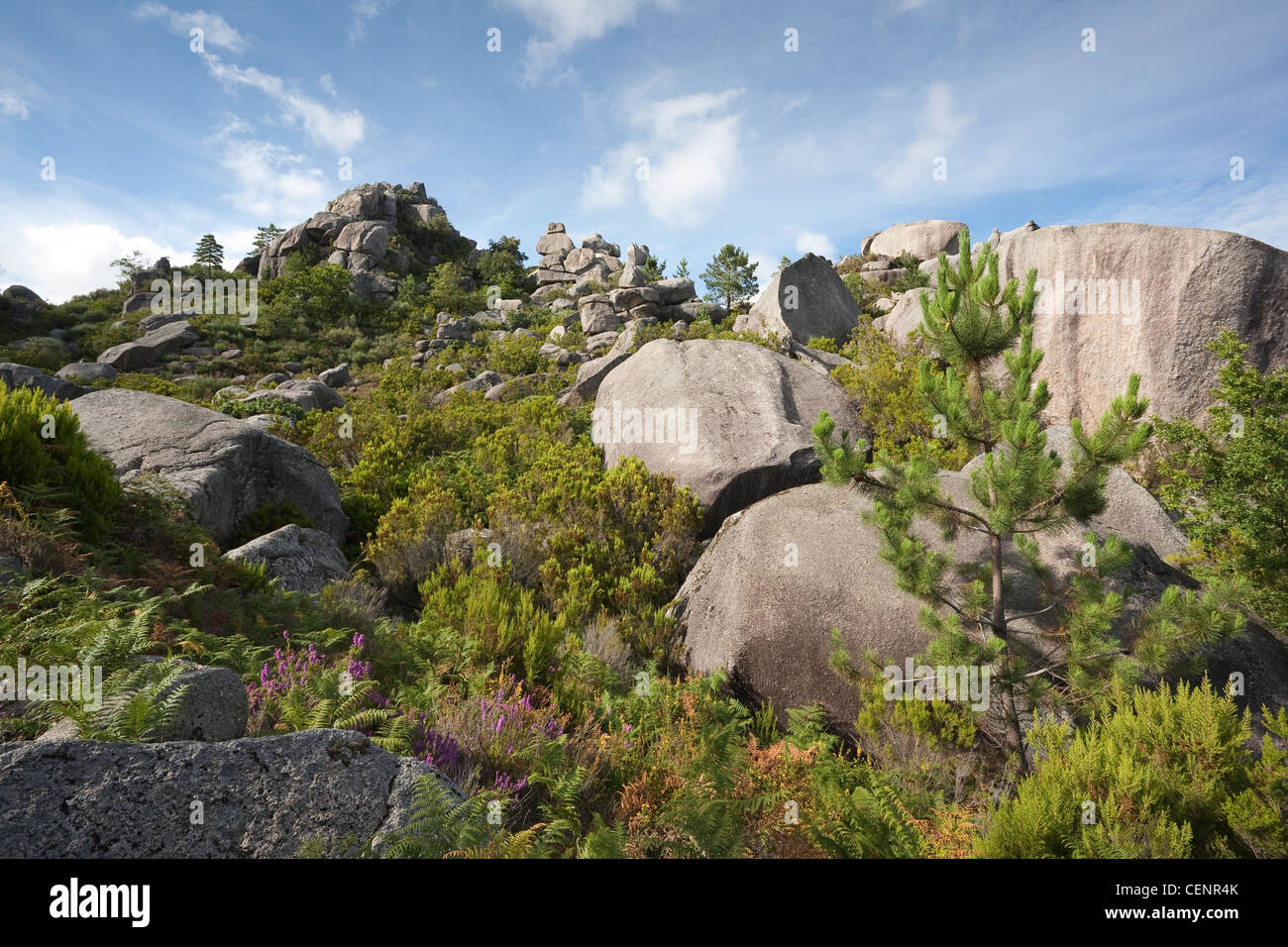 Landscape along the Pedra Bela Trail - Gerês, Peneda-Gerês National ...