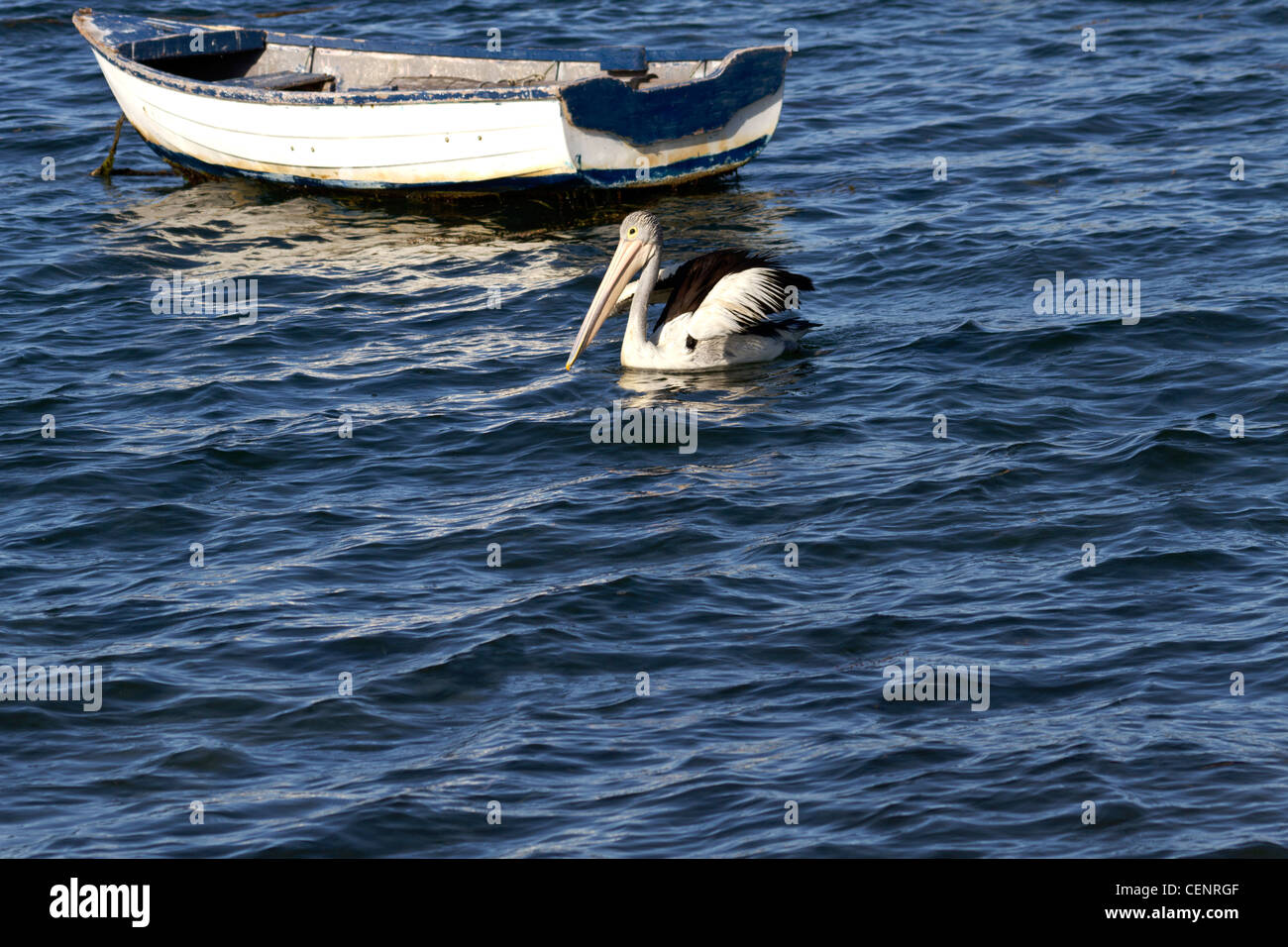 Oceanography boat hi-res stock photography and images - Alamy