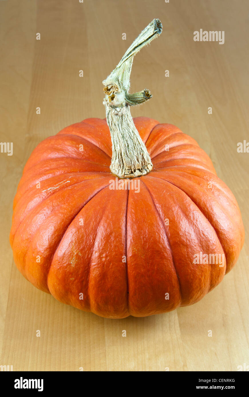 Turk's Turban squash Stock Photo - Alamy